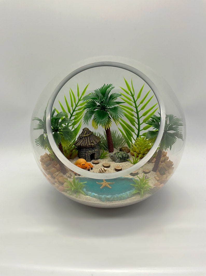 Tropical Oasis Terrarium Kit - 6” Slant Cut Round Glass Terrarium ...