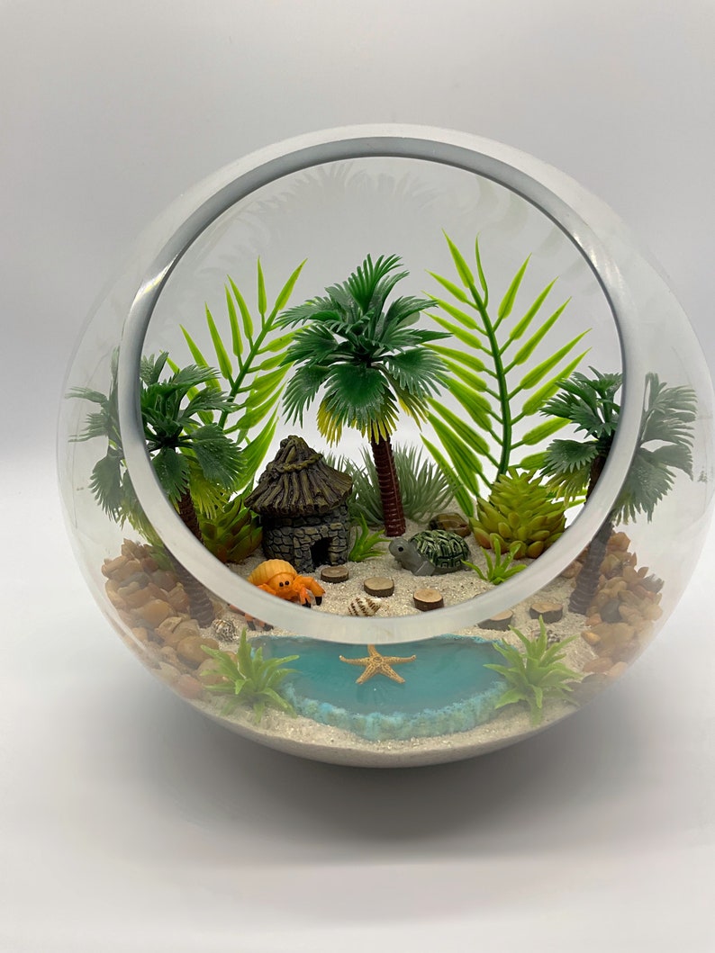 Tropical Oasis Terrarium Kit - 6” Slant Cut Round Glass Terrarium ...