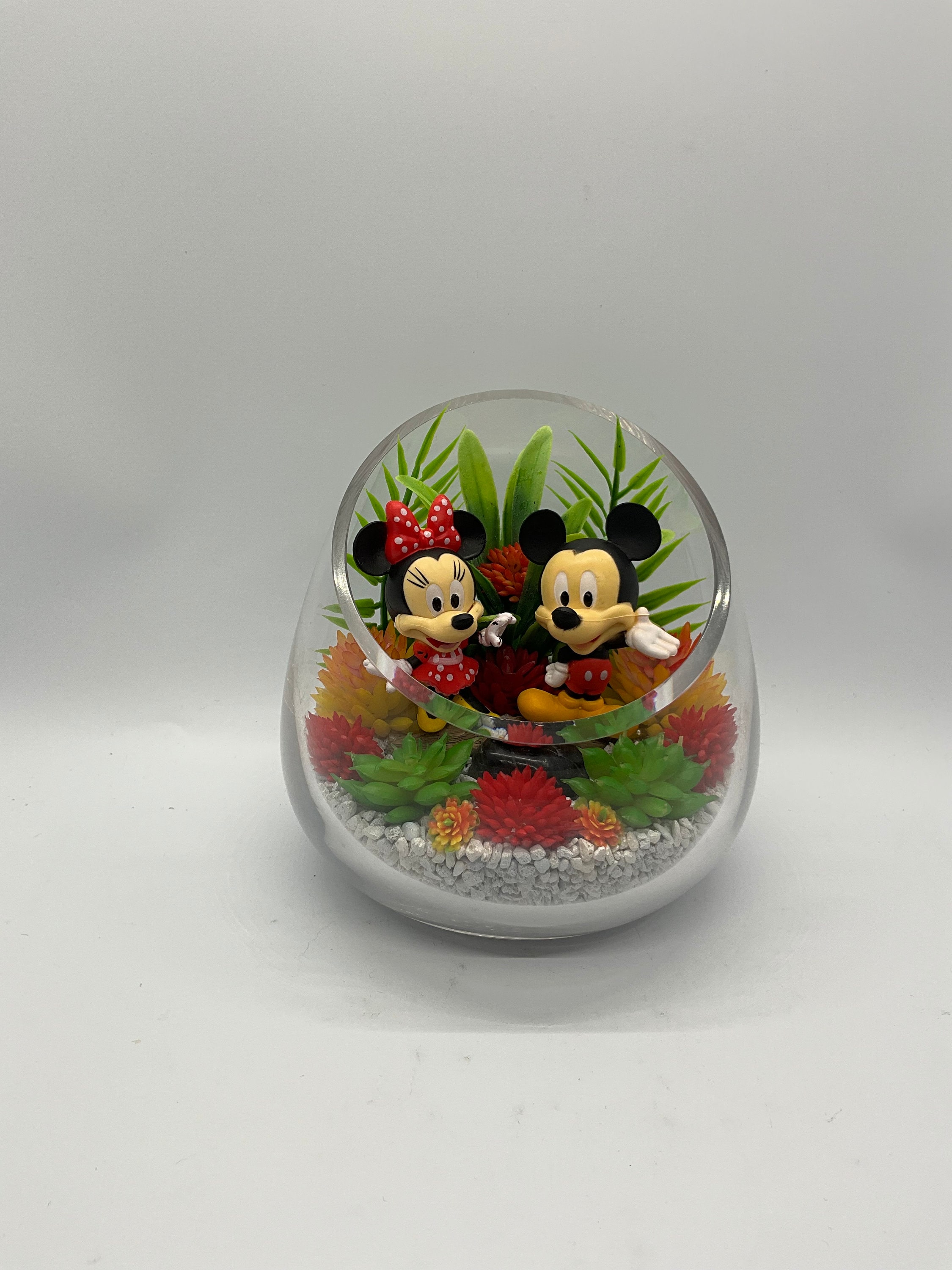 Mickey & Minnie Mouse Terrarium Kit Artificial Succulent - Etsy