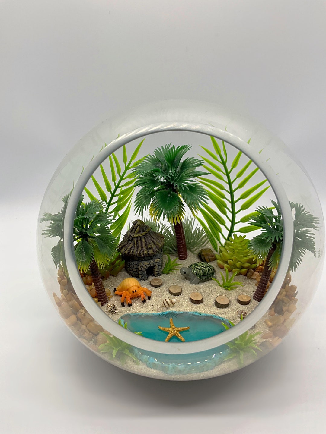 Tropical Oasis Terrarium Kit - 6” Slant Cut Round Glass Terrarium ...