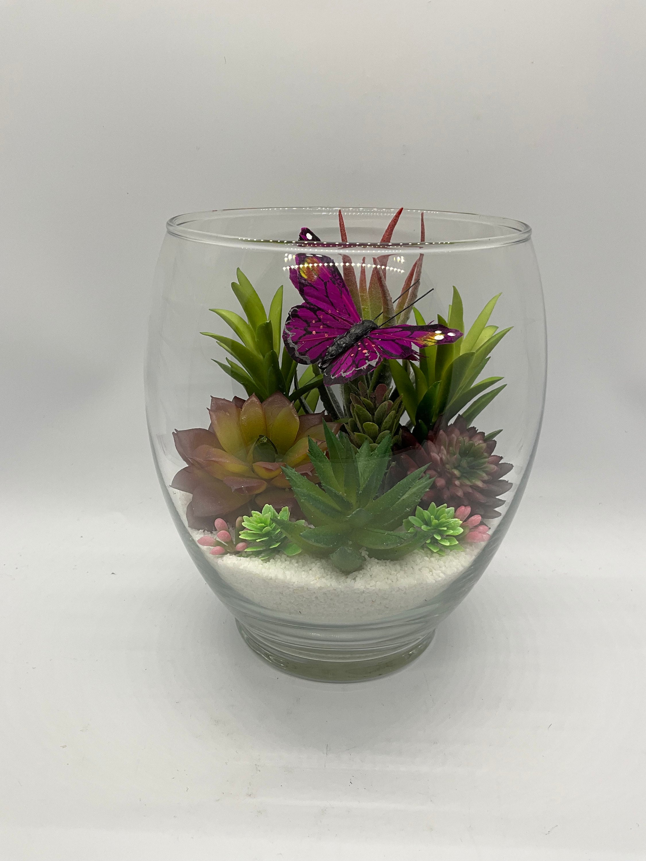 Butterfly Terrarium Kit - Artificial Succulent Terrarium Kit - 6” Glass ...