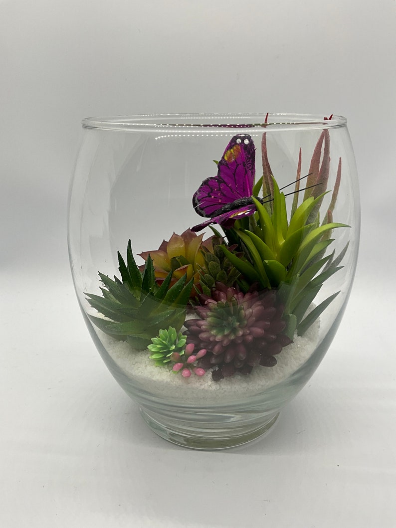 Butterfly Terrarium Kit Artificial Succulent Terrarium Kit 6 Glass Vase ...