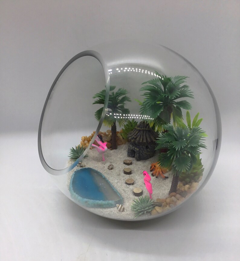 Tropical Oasis Terrarium Kit 6 Slant Cut Round Glass - Etsy