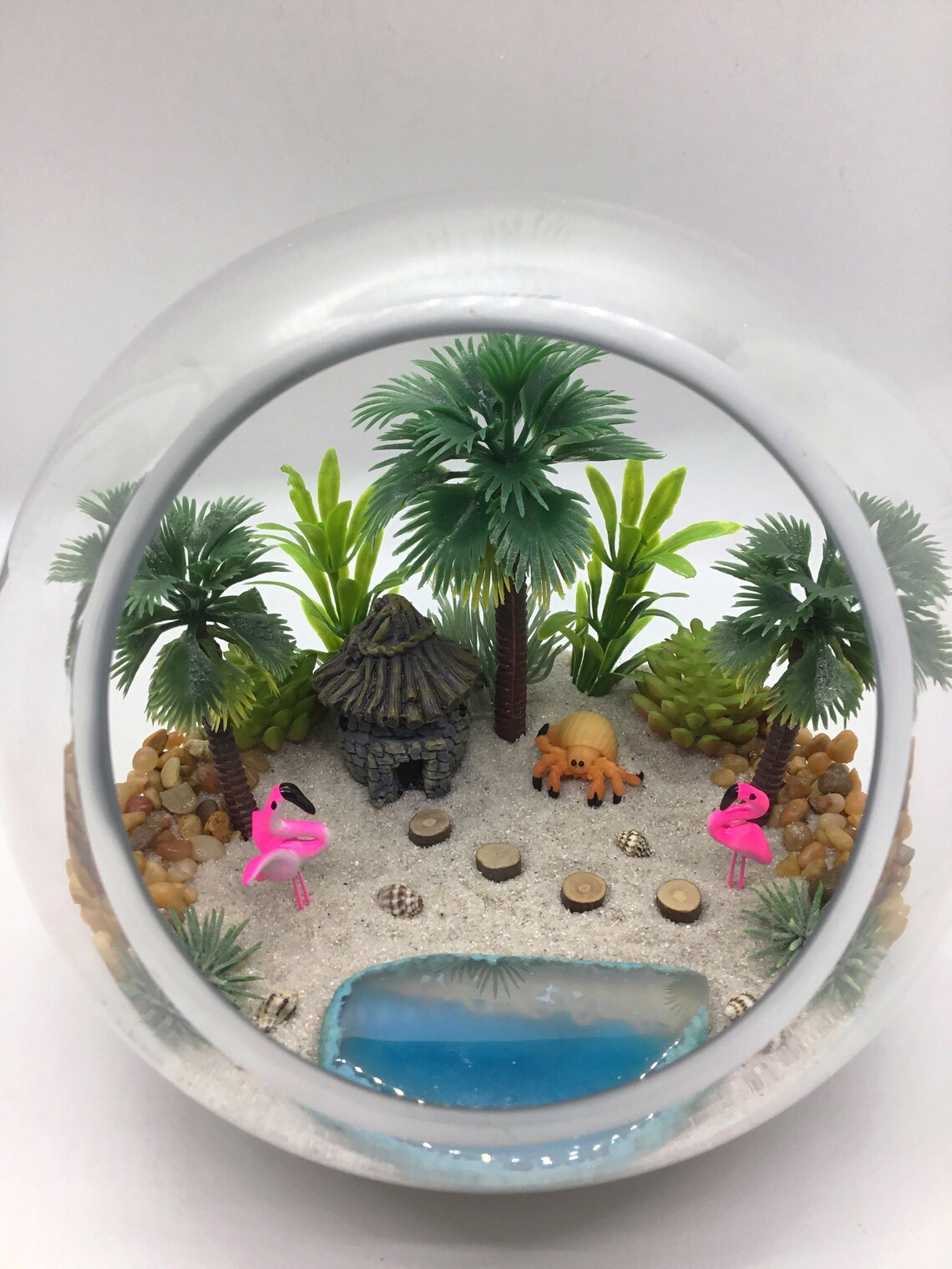 Tropical Oasis Terrarium Kit 6 Slant Cut Round Glass | Etsy