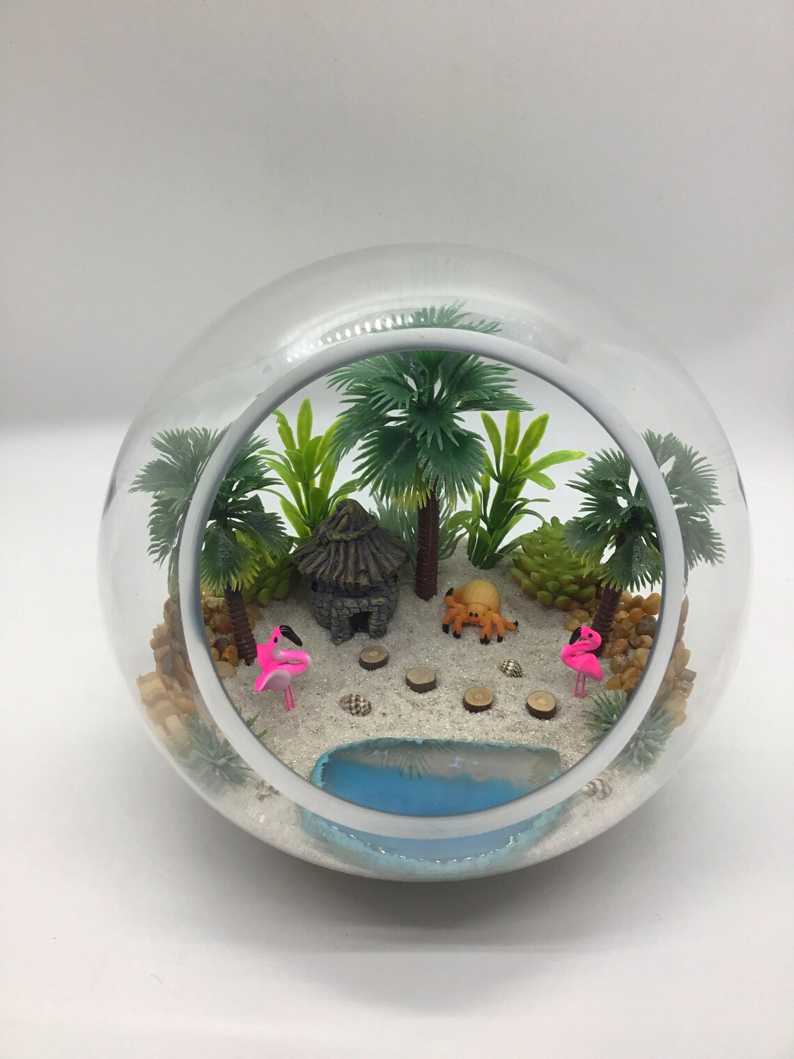 Tropical Oasis Terrarium Kit 6 Slant Cut Round Glass | Etsy