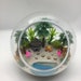 Tropical Oasis Terrarium Kit 6 Slant Cut Round Glass - Etsy