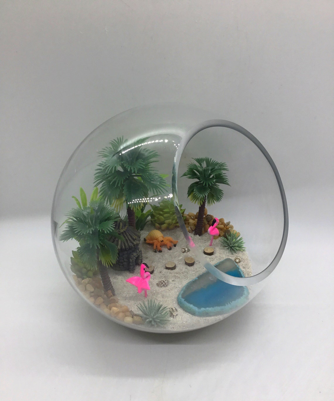 Tropical Oasis Terrarium Kit 6 Slant Cut Round Glass | Etsy