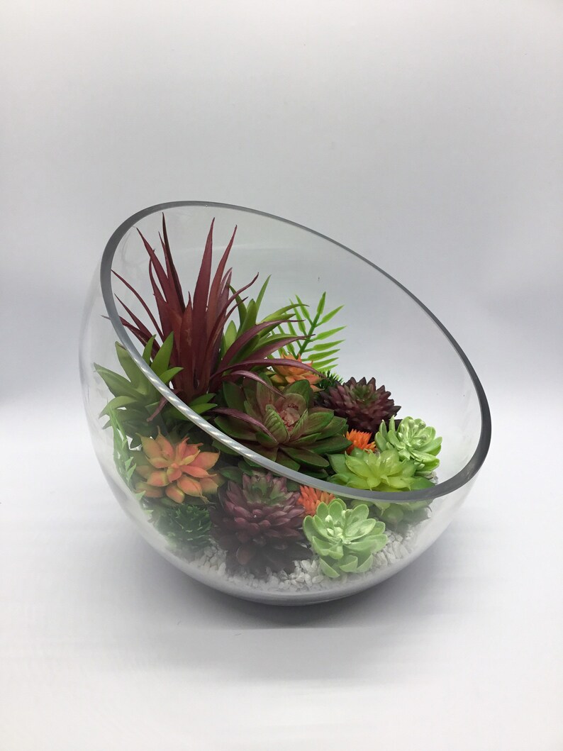 Artificial Succulent Terrarium Kit - 7”slant Cut Glass Terrarium ...