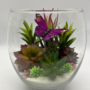 Butterfly Terrarium Kit - Artificial Succulent Terrarium Kit - 6” Glass ...