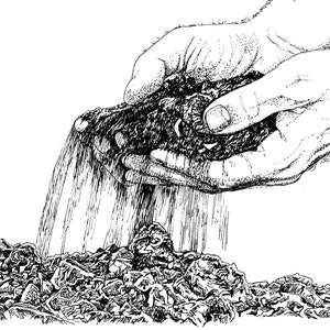 Soil Pen and Ink Print - Etsy