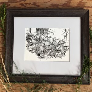 Bobcat Pen and Ink Print - Etsy