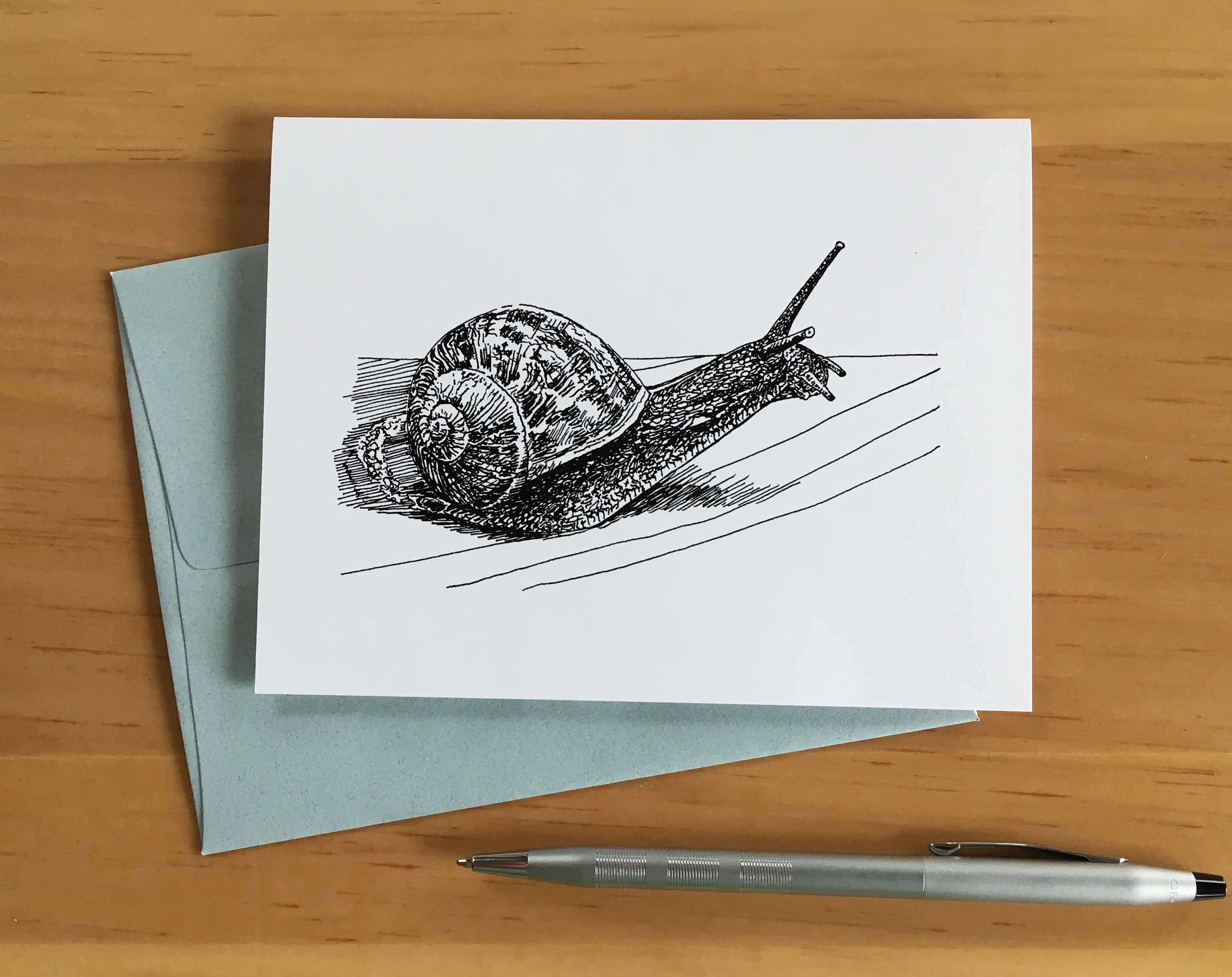 Snail Pen & Ink Print - Etsy