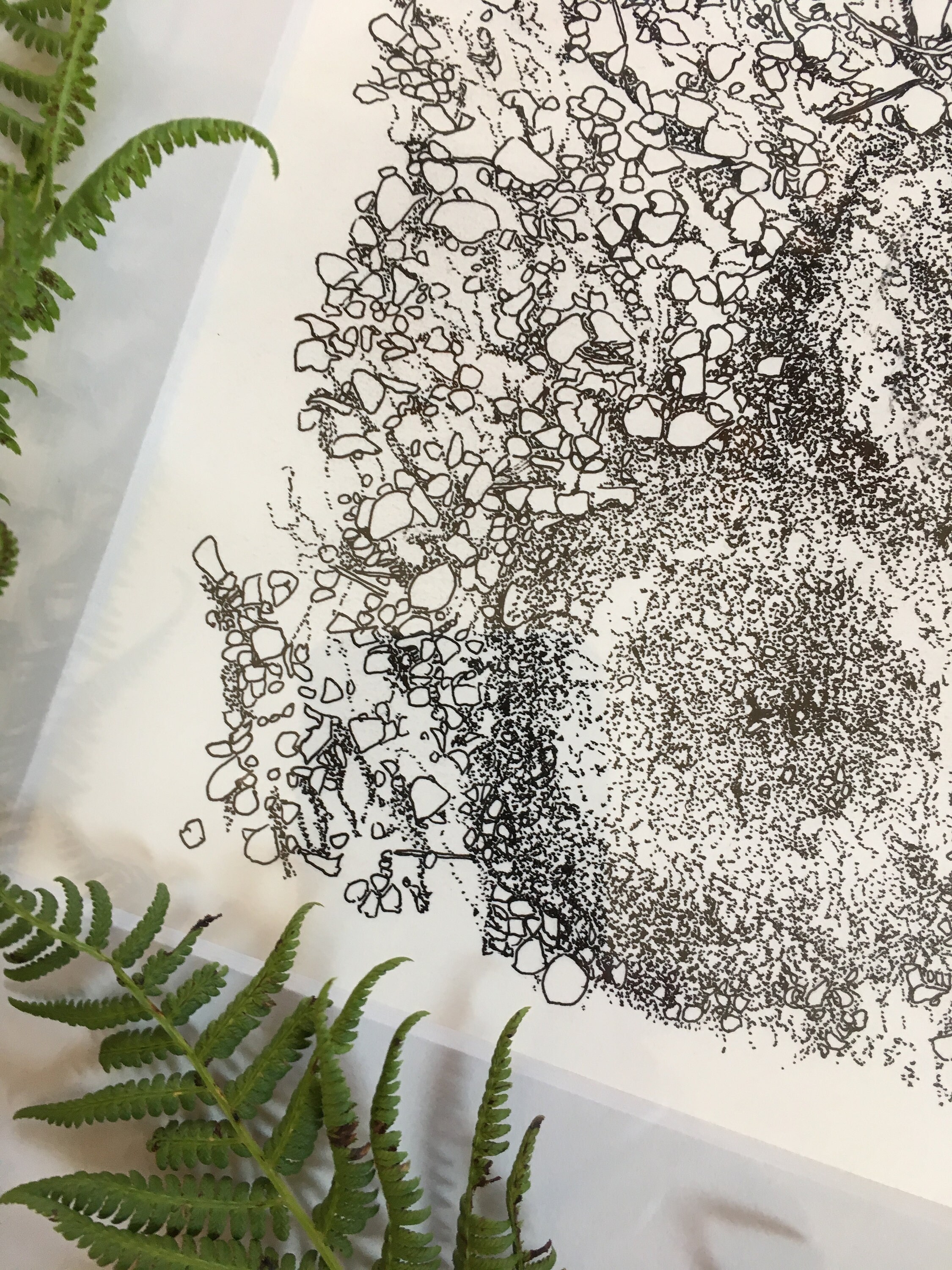 Ant Hills Pen and Ink Print - Etsy