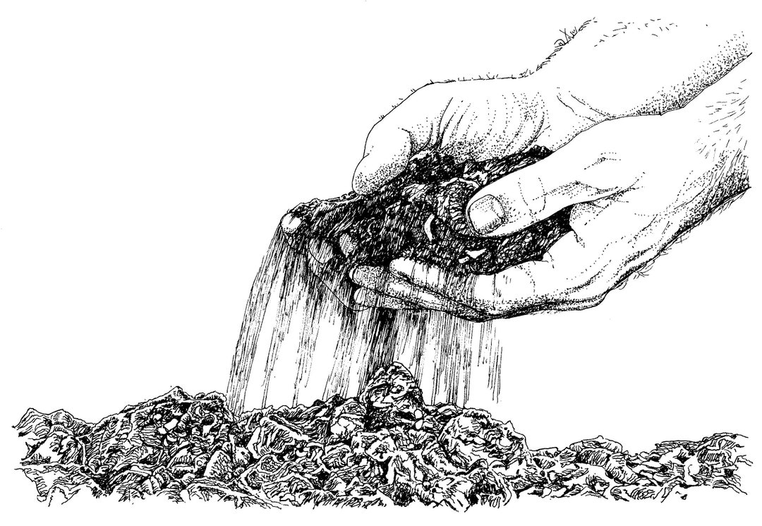 Soil Pen and Ink Print - Etsy