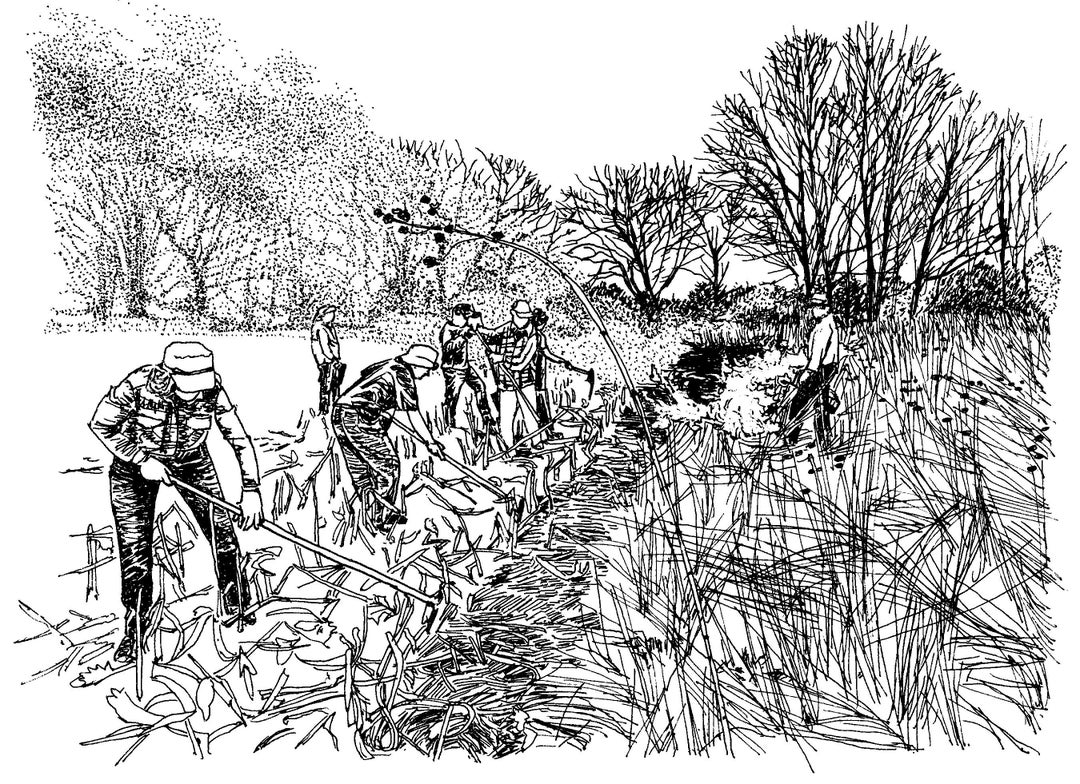 Prairie Burn Pen and Ink Print - Etsy