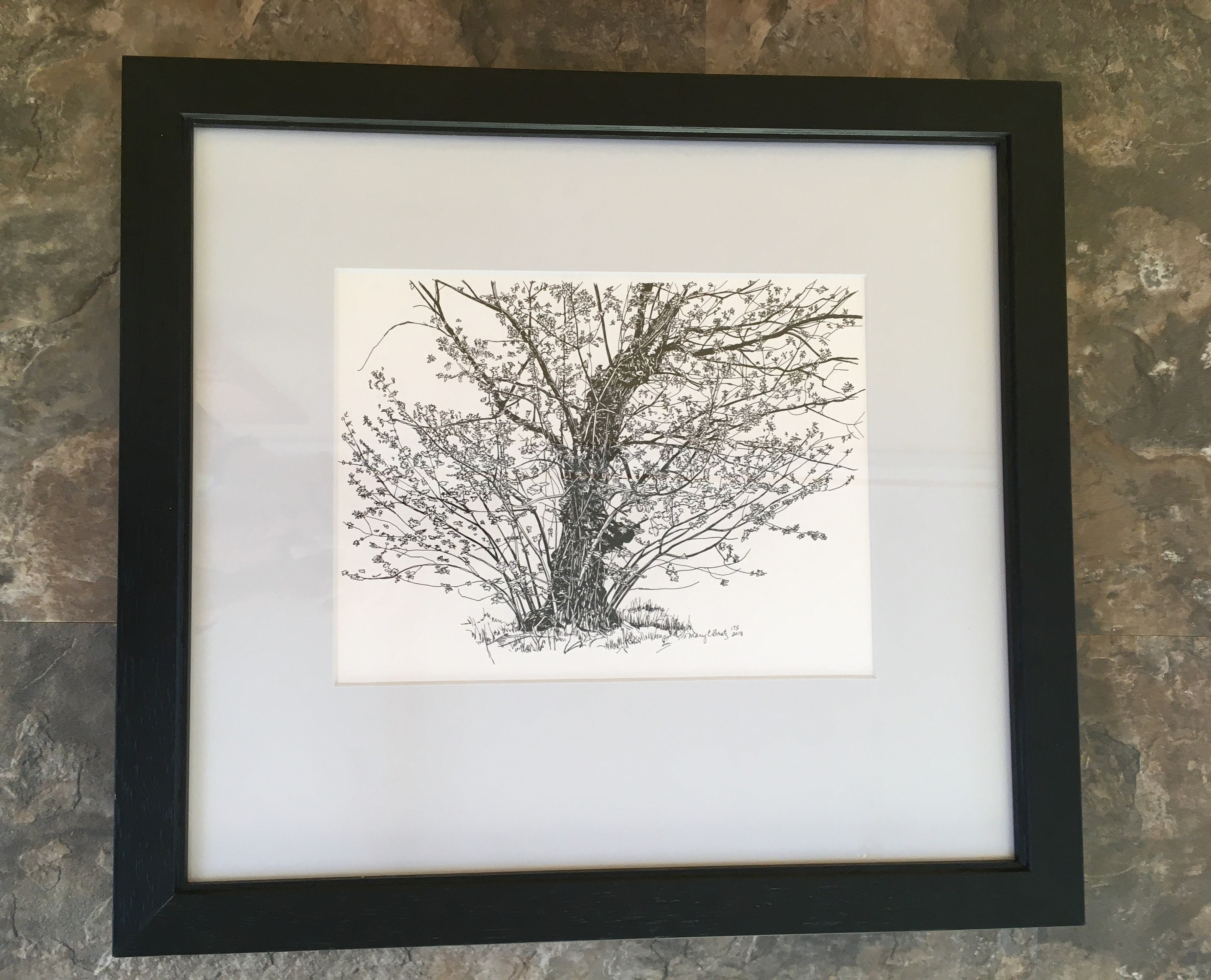 Boxelder Tree Pen and Ink Print - Etsy