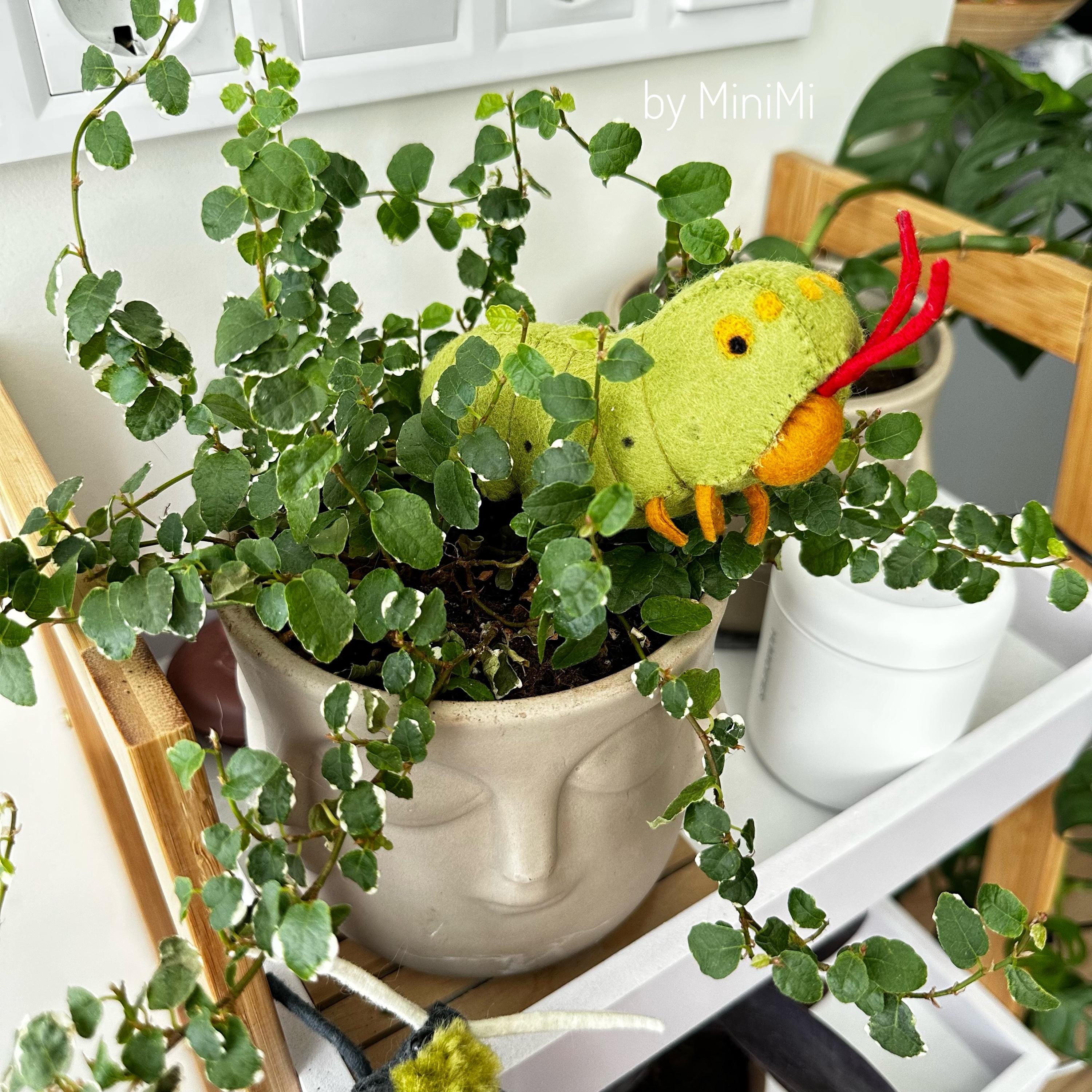 Felt Caterpillar Sewing Pattern: Larva Tutorial (PDF Download). Worm ...