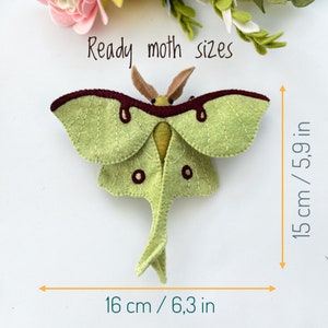 Felt Luna Interior Moth PDF Pattern Download, Sewing Tutorial - Etsy