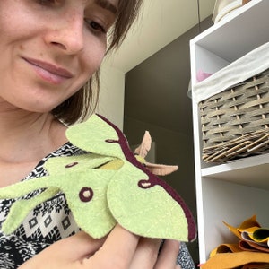 Felt Luna Interior Moth PDF Pattern Download, Sewing Tutorial - Etsy
