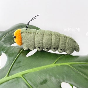 Felt Moth Green Caterpillar PDF Pattern Download, Sewing Tutorial - Etsy