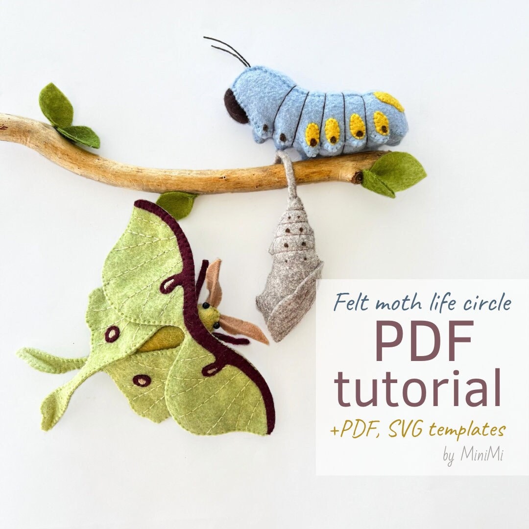 Luna Moth, Caterpillar and Chrysalis Felt PDF Bundle. Pattern Download ...