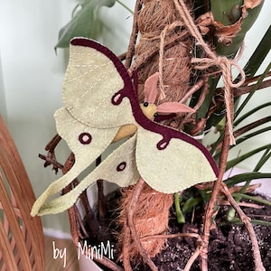 Felt Luna Interior Moth PDF Pattern Download, Sewing Tutorial - Etsy