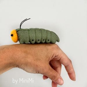 Rosy Maple Moth Caterpillar and Cocoon Felt PDF Project. Pattern ...