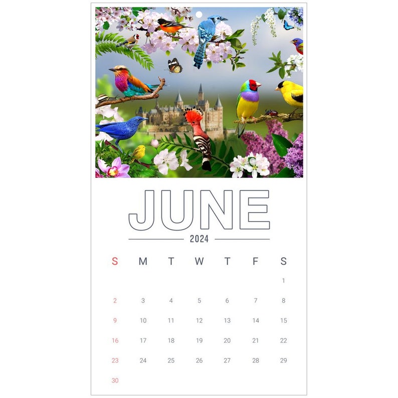 Wall Calendar for Girls 2024 Calendar for Schoolgirl Gift - Etsy