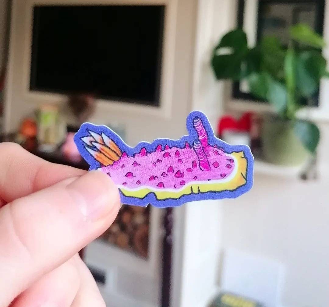 Pink Nudibranch Sea Slug Sticker - Etsy