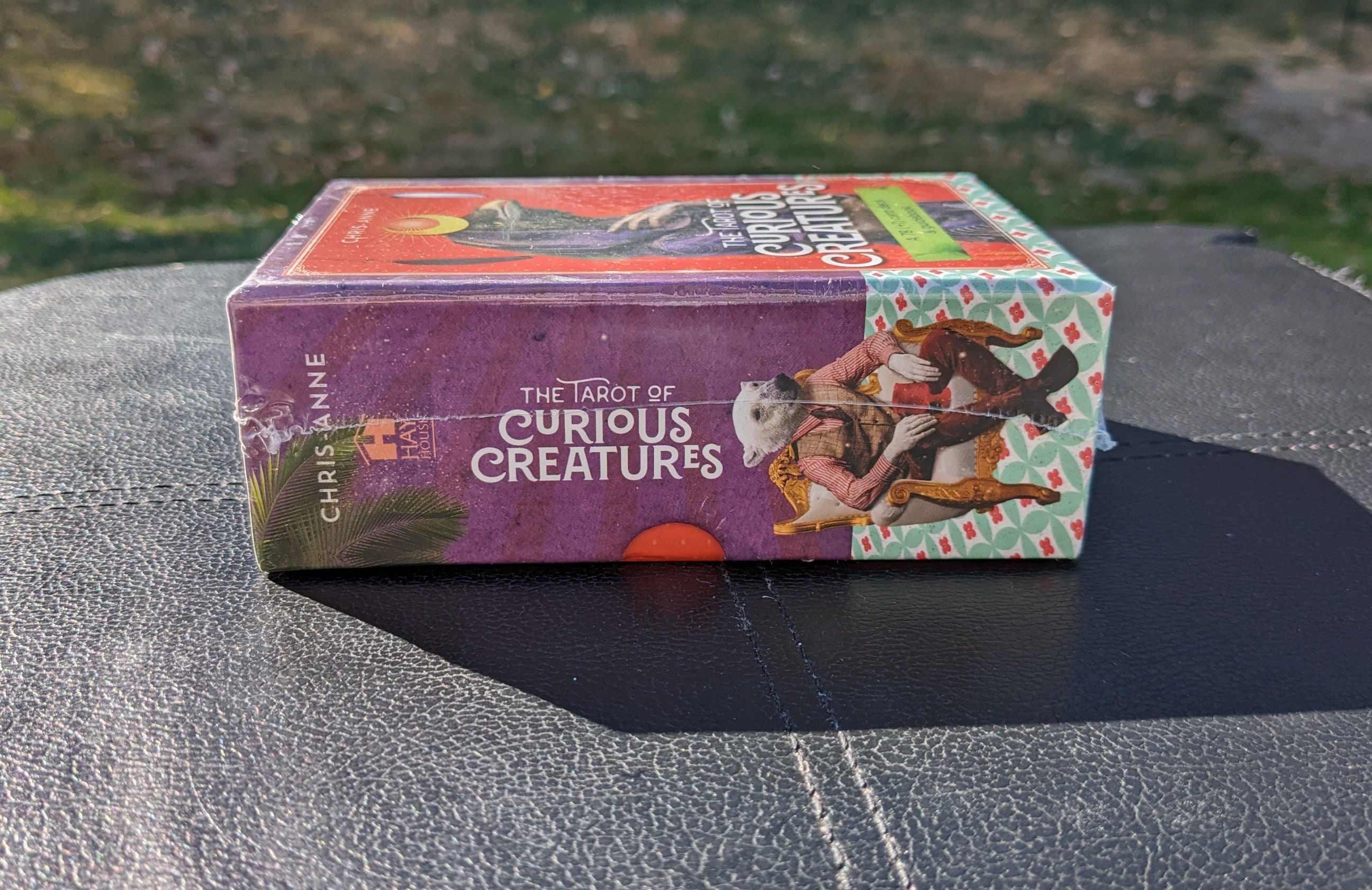 The Tarot of Curious Creatures - Connect With Your Guides & Spirit Team ...