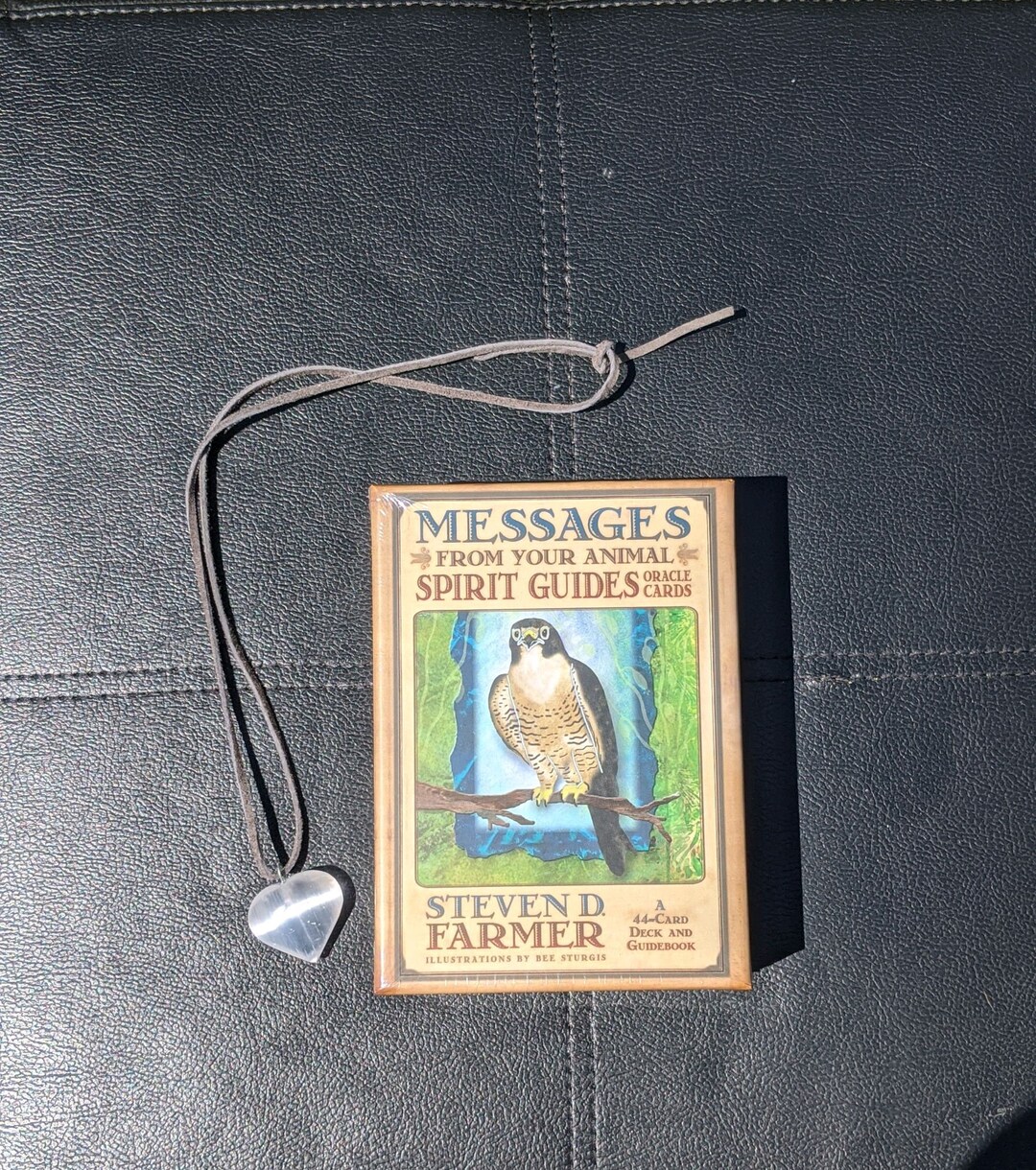 Messages From Your Animal Spirit Guides Oracle Deck + Selenite Crystal ...