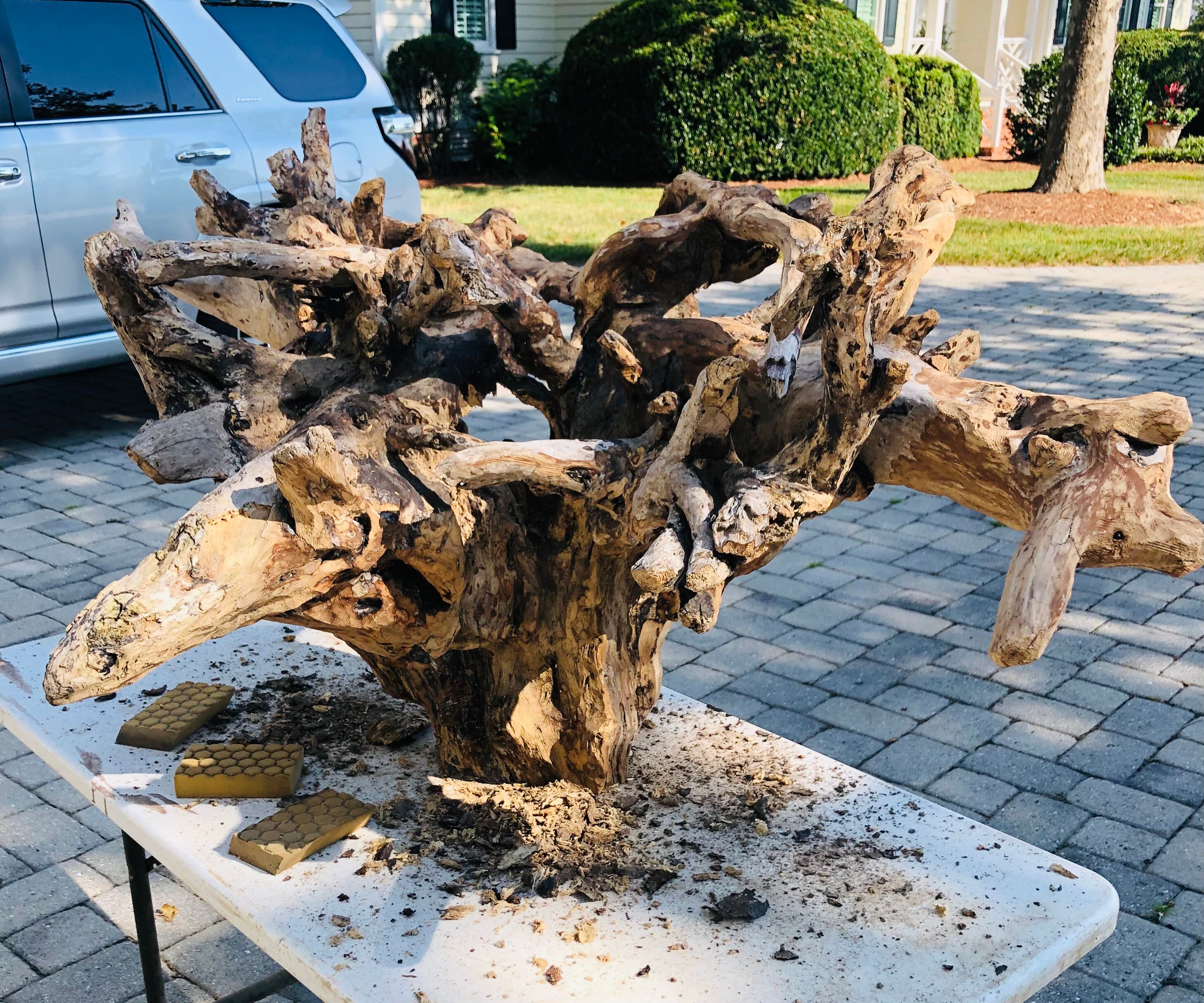 Driftwood Tree Root Glass Table - Etsy