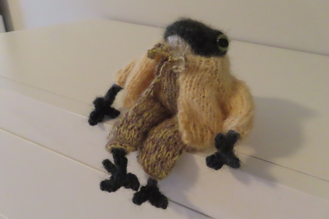 Hand Knitted Posable Froggy Dot Pebbles Pattern by Claire Garland - Etsy