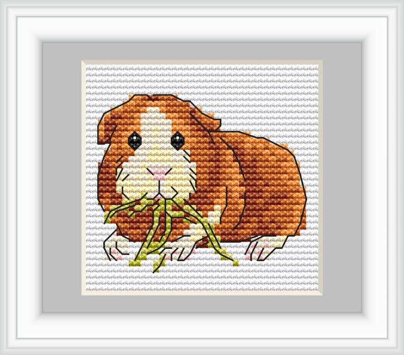 Guinea Pig Cross Stitch Pattern PDF - Etsy