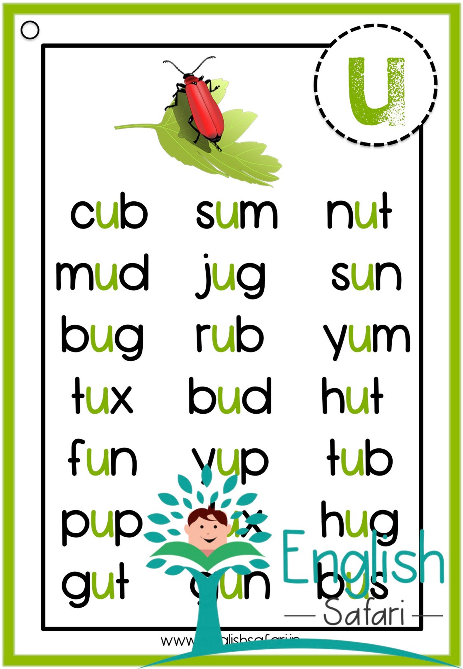 Phonics words list | Etsy