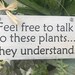 Wooden Engraved Sign Feel free to talk to these | Etsy