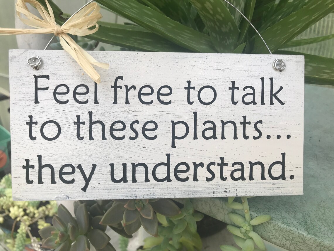 Wooden Engraved Sign - Feel Free to Talk to These Plants...they ...