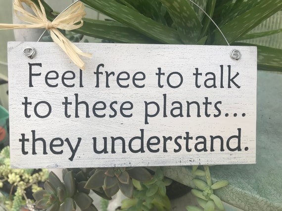 Wooden Engraved Sign Feel Free to Talk to These | Etsy