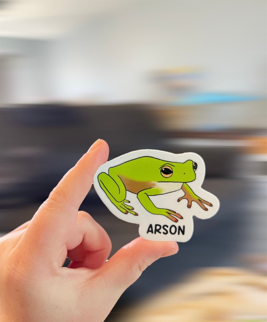 3 Inch Frog Memes Arson Silly Frog Sticker Meme Stickers - Etsy