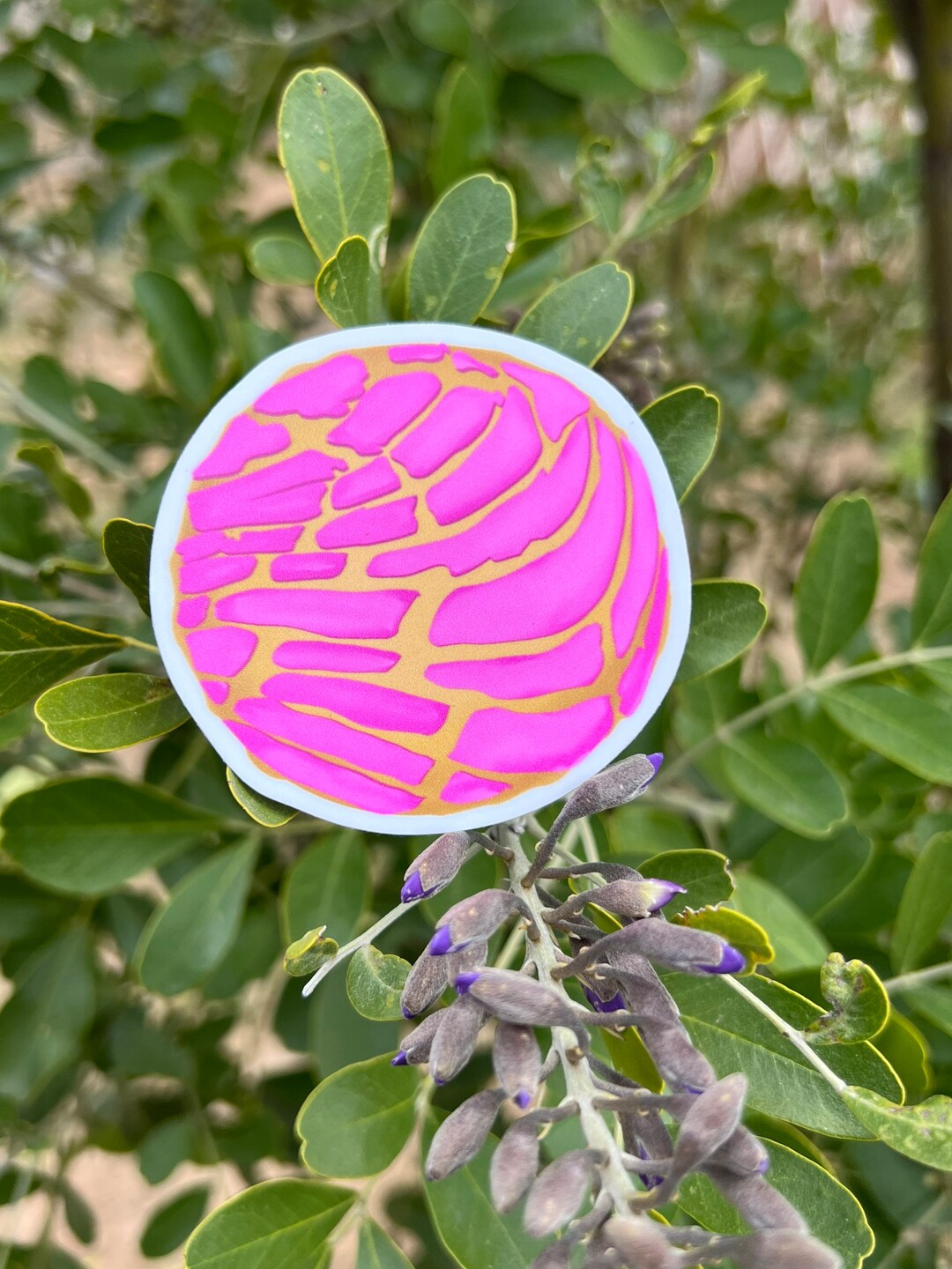 3-inch Concha Sticker Pan Dulce Sticker Mexican Stickers - Etsy