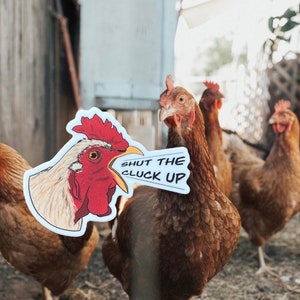 3-inch Shut the Cluck up Sticker | Chicken Sticker | Farm Life Sticker ...