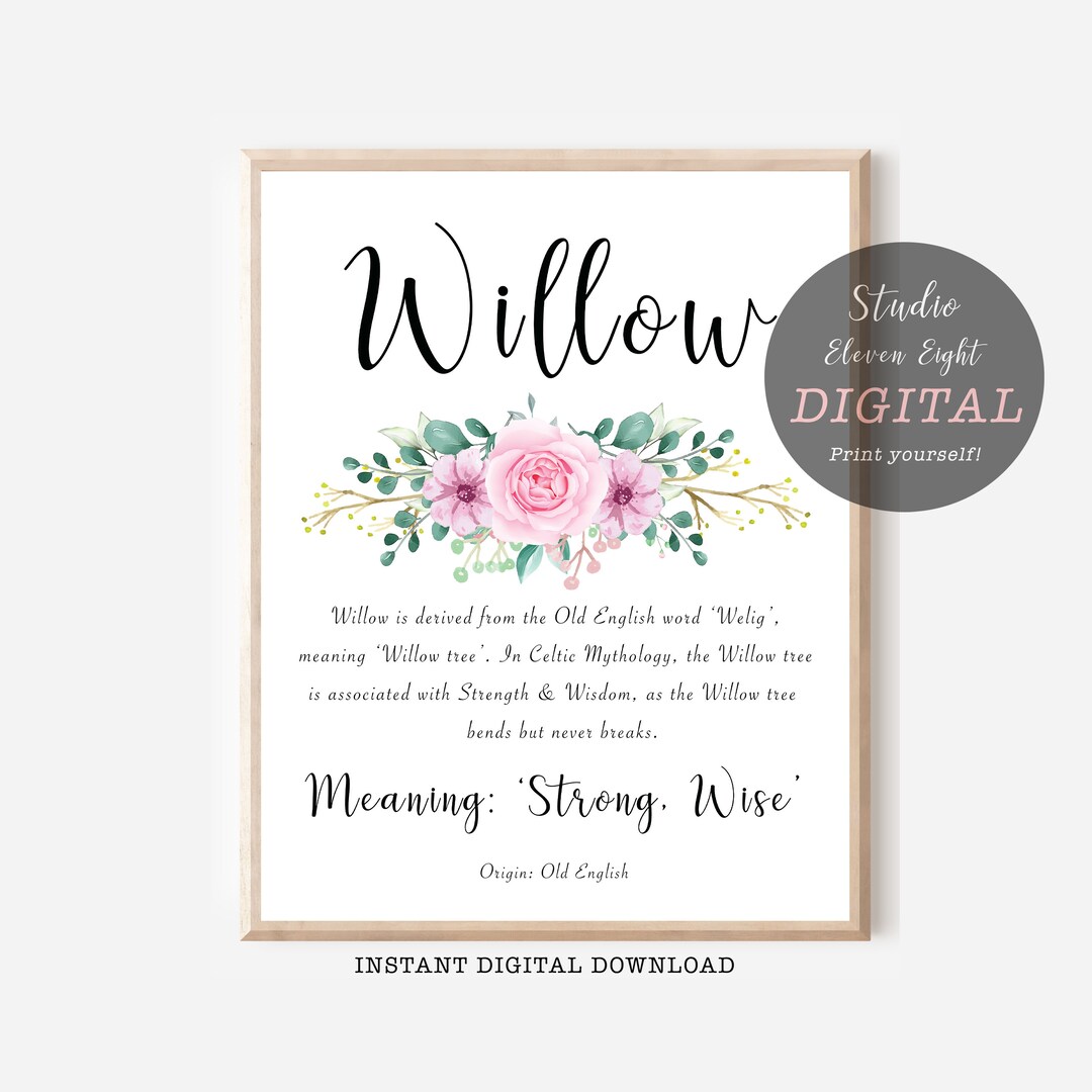 Willow Name Meaning Pink Floral Digital Print , Instant Download, Girls ...