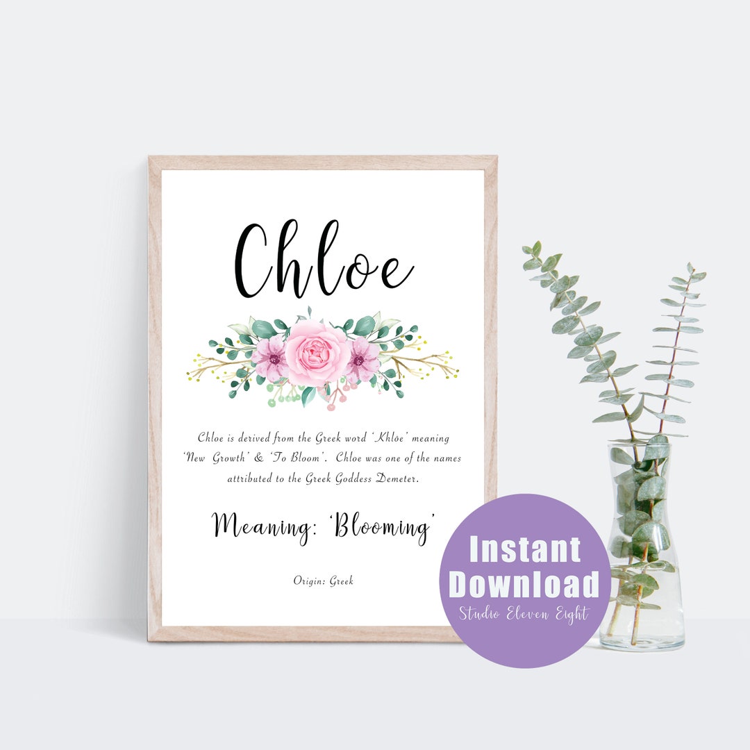 Chloe Name Meaning Printable With Pink Floral Artwork, Chloe Digital ...