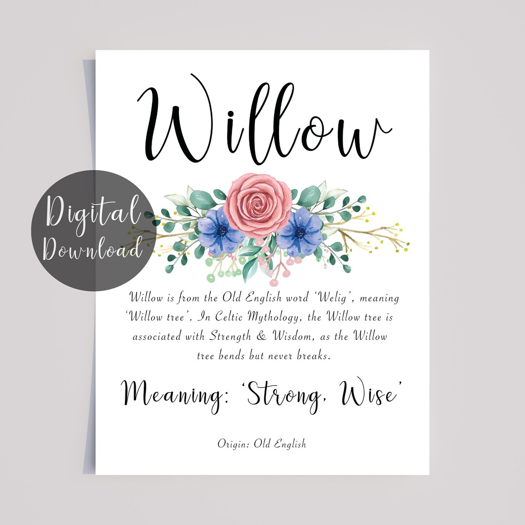Willow Name Meaning Printable With Pink and Blue Flowers and ...