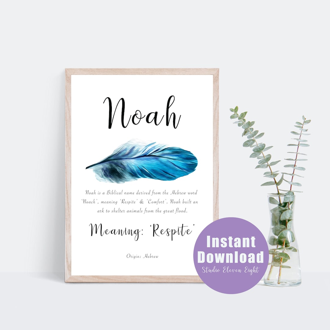 Noah Name Meaning Digital Print, Blue Feather, Noah Name Sign Printable ...
