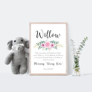 Willow Name Meaning Pink Floral Digital Print , Instant Download, Girls ...