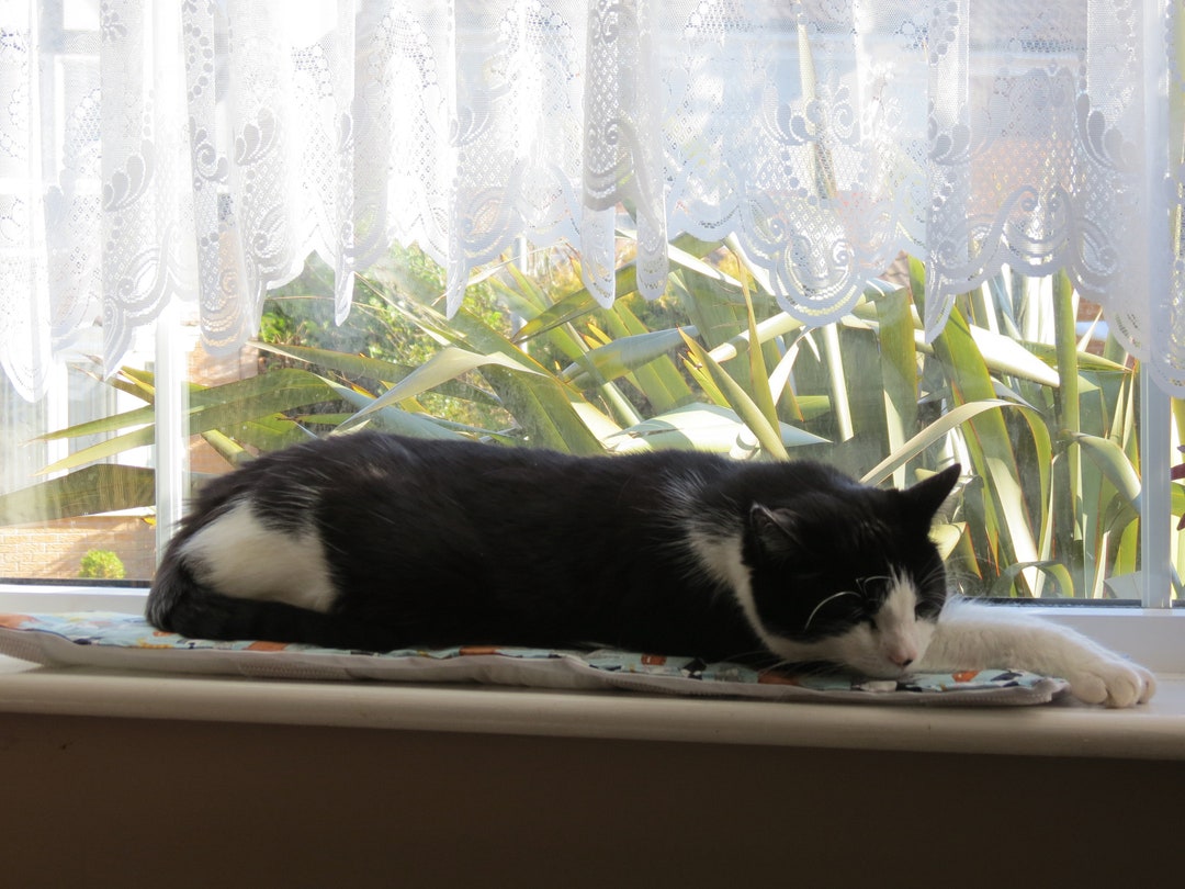 NON-SLIP Cat Window Cushion. Custom Sizes Available. Free ...