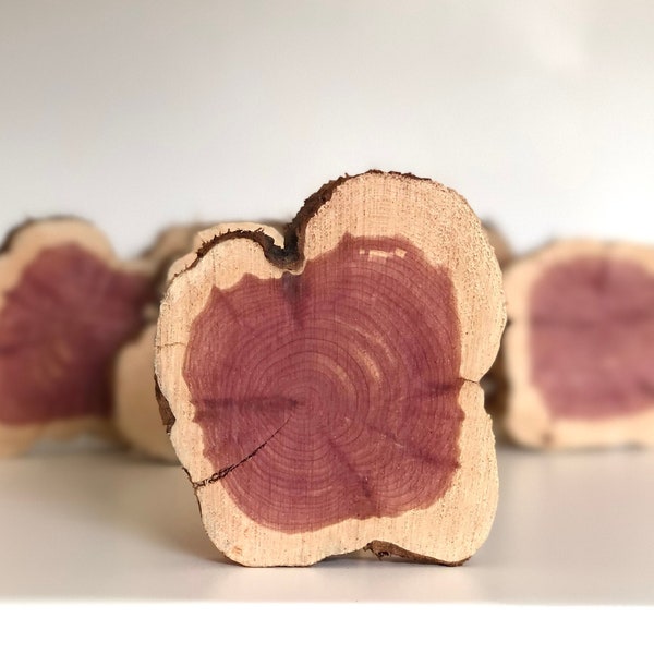 Red Cedar Slab - Etsy