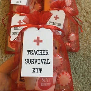 ASSEMBLED Student School Survival Kit, Teacher Survival Kits, Back to ...