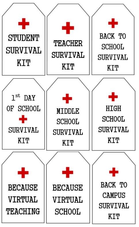 ASSEMBLED Student School Survival Kit Teacher Survival Kits - Etsy